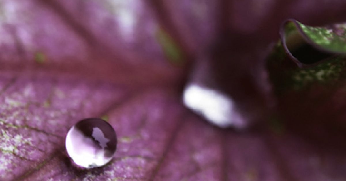 ATPI Events – ATPI.org