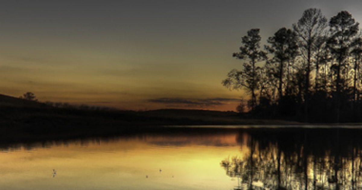 2025 Winter Conference Speaker Form – ATPI.org